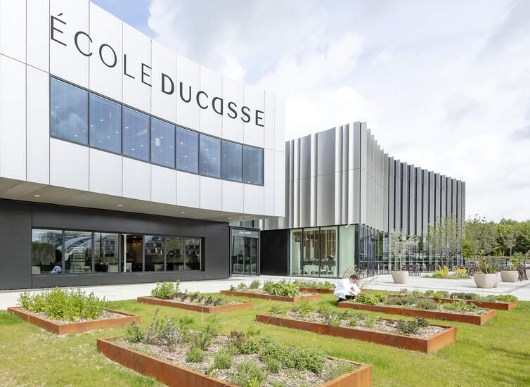 École Ducasse | Sommet Education